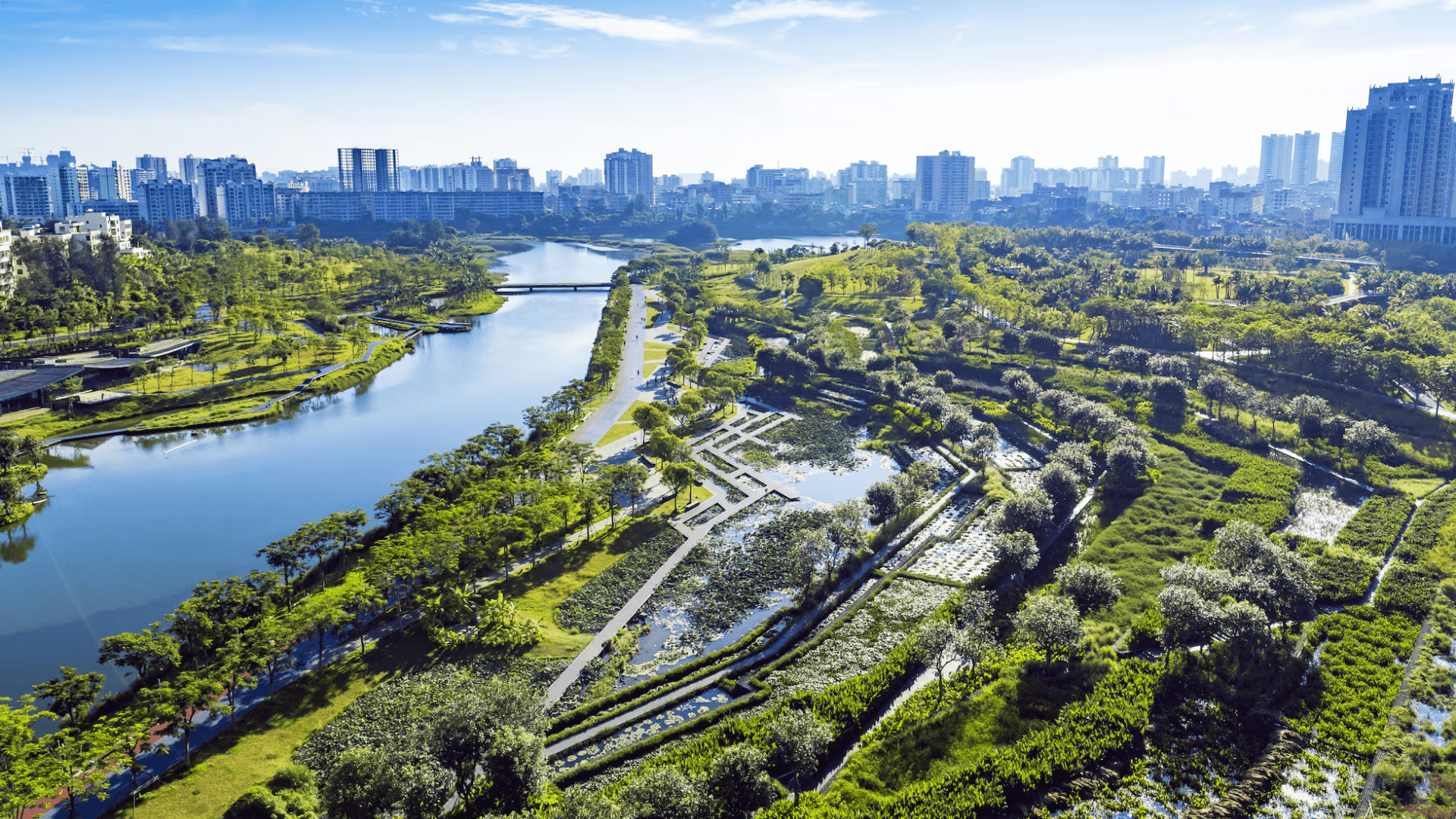 Qué son las ciudades esponja y cómo ayudan frente a las inundaciones
